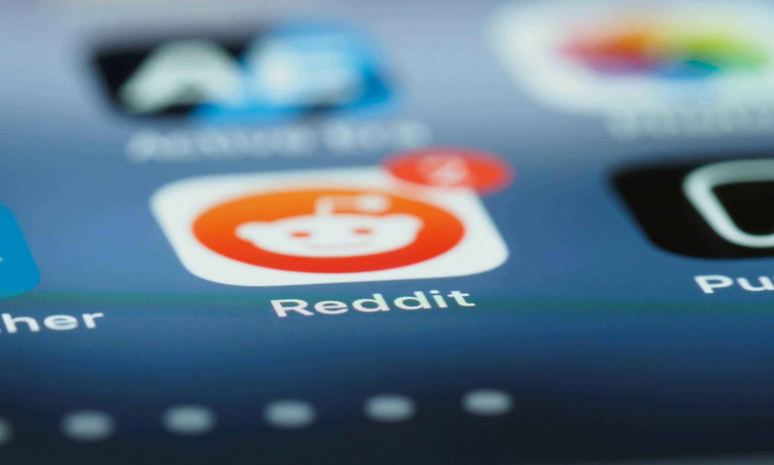 Reddit and SEO: Should Forums Be So Visible in Search? | Energy PR